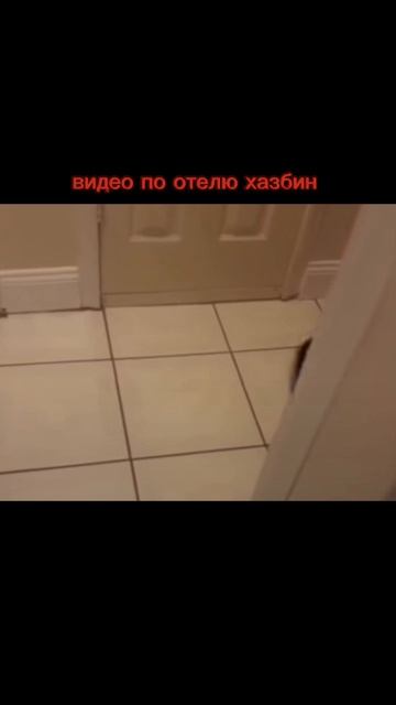 Отель хазбин