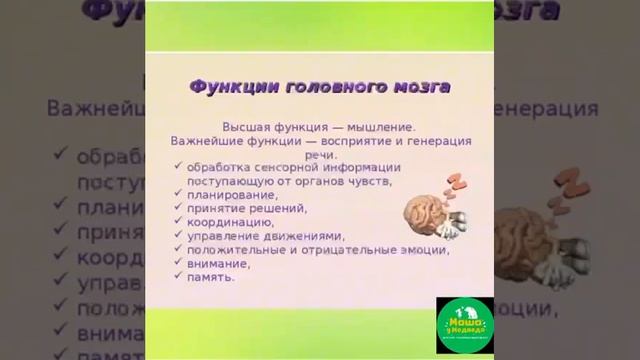 Младшая группа 2-3. Тема весна
