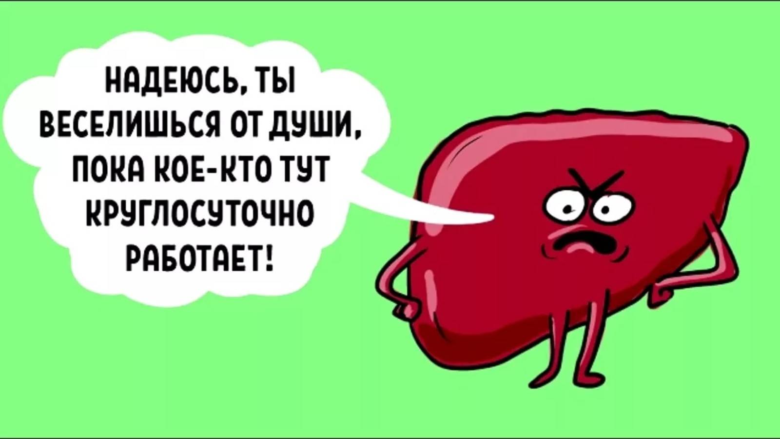 Здоровая печень - здоровое сердце.
