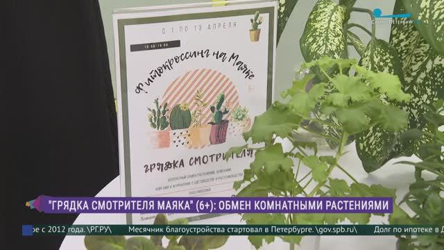 Грядка смотрителя «Маяка» - акция фитокроссинга в Красносельском районе