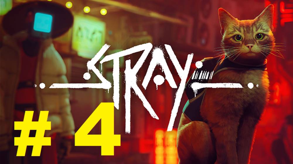 STRAY #4
