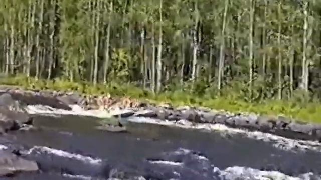 1994-07 Карелия, вело-водная экспедиция (клип длинный)