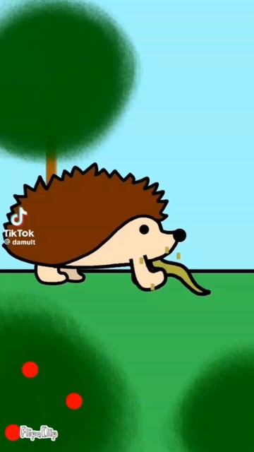 панда любит есть бамбук...