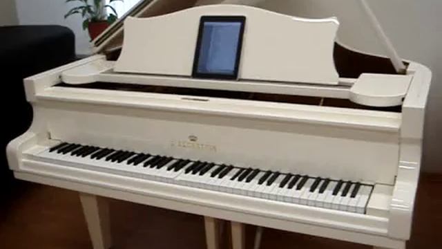 Самоиграющий рояль C.Bechstein