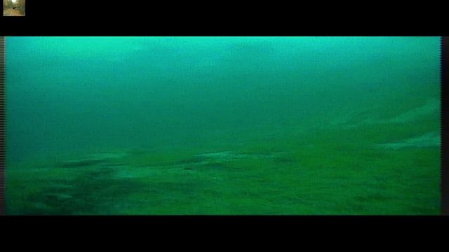 Рыбалка 7 марта.Подводная съемка.