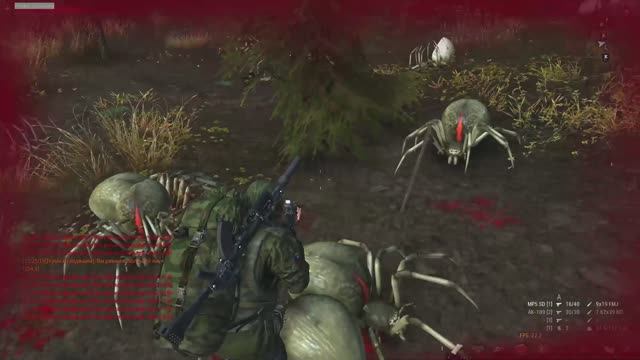 Катись Колесо