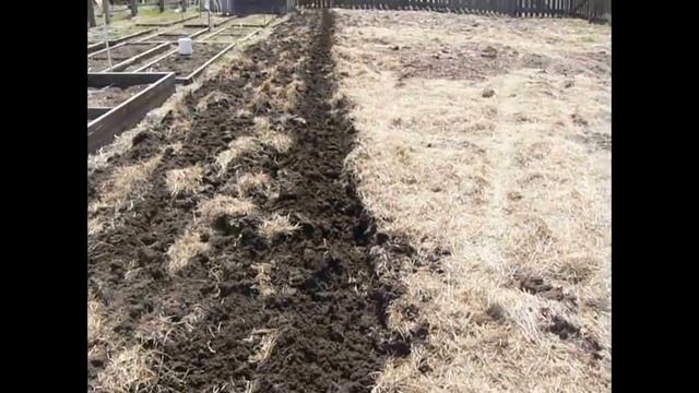 Испытания самодельного плуга из предплужника и минитрактора на пахоте