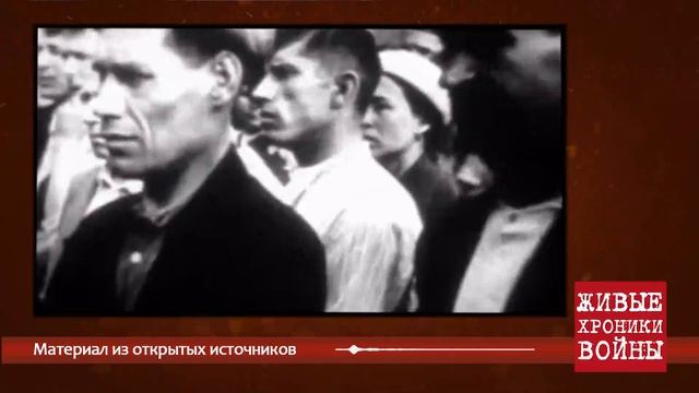 Живые хроники войны. Митряшкин Иван Александрович