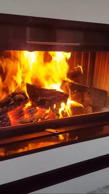 Spartherm Varia Bh Linear 4s