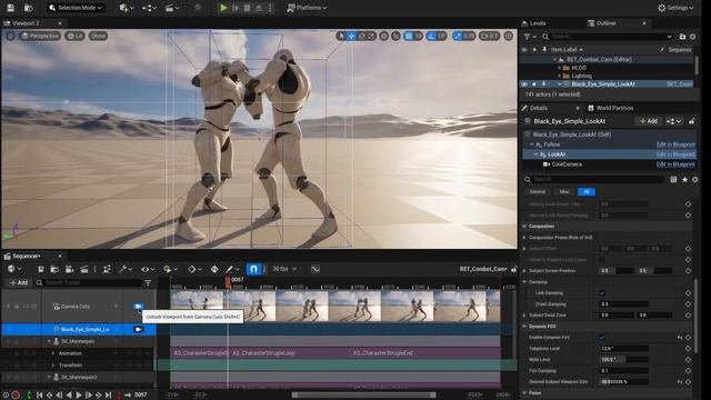 2 person combat side camera tutorial