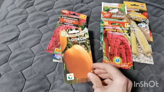 САМЫЕ ЛУЧШИЕ СЕМЕНА ДЛЯ ОГОРОДА! ОБЗОР КЛАССНЫХ СОРТОВ НА 2025 ГОД. Ожидание и реальность.