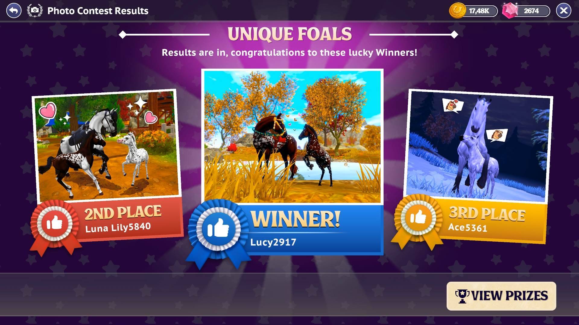 СУНДУКИ, ГОНКИ И ФОТОЧЕЛЛЕНДЖ в Star Equestrian & Horse Riding Tales