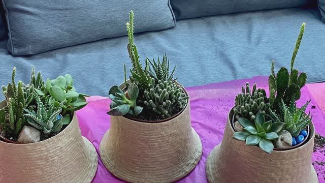 Мастер- класс Мини- сад