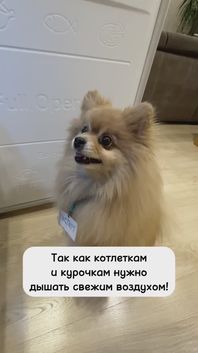 Важное наблюдение от эксперта!