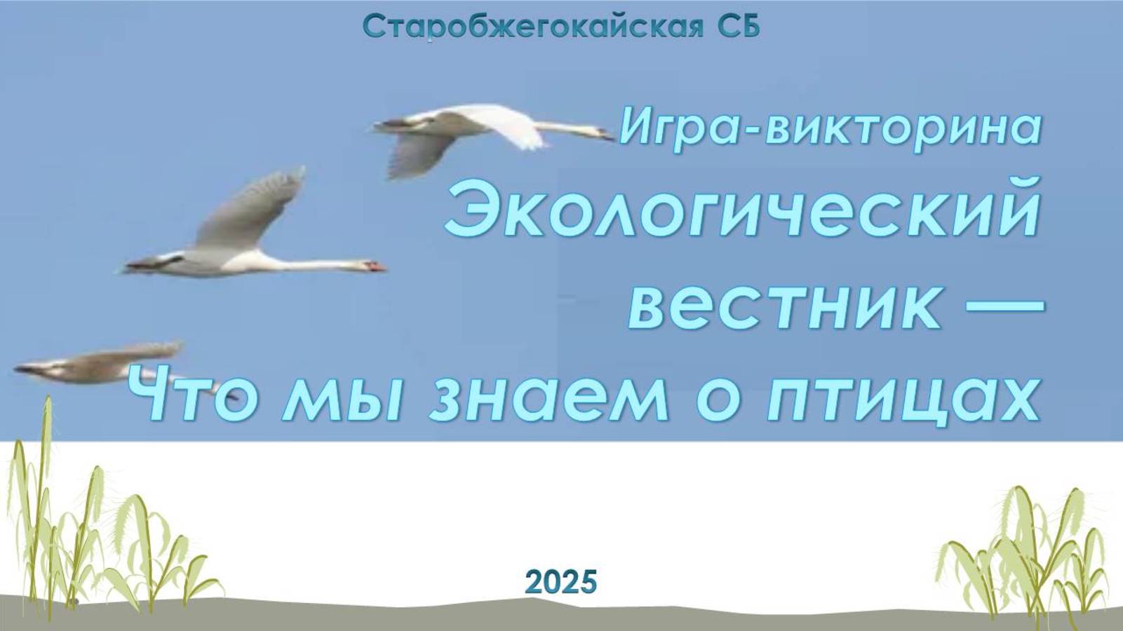 1 апреля 2025 г. Игра-викторина «Экологический вестник —Что мы знаем о птицах». Старобжегокайская СБ