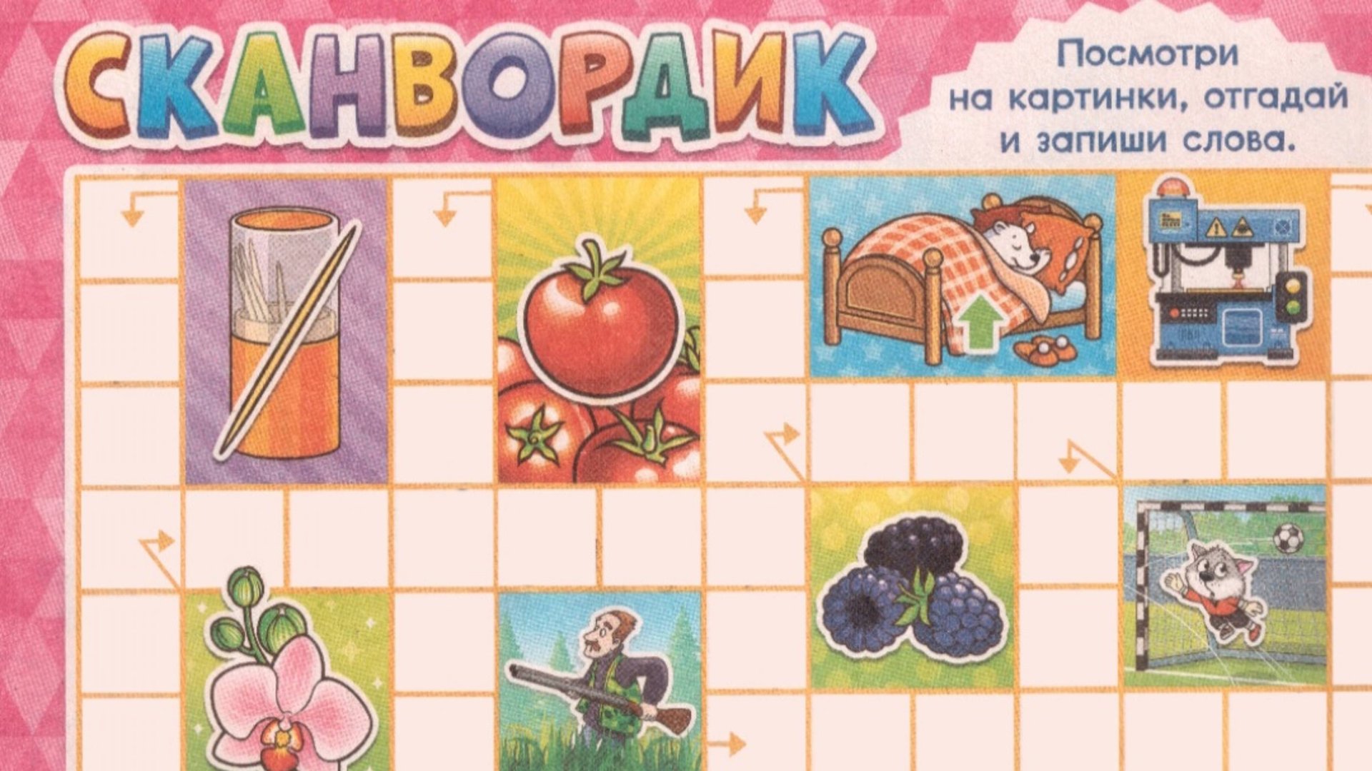 Сканворд