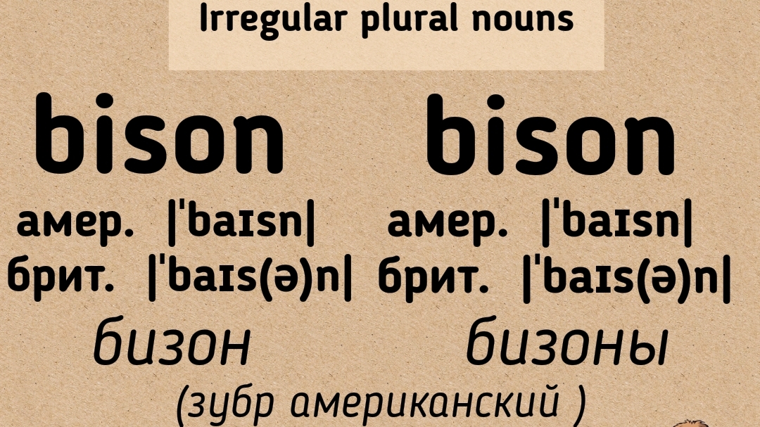 Irregular plural nouns👉bison/bison