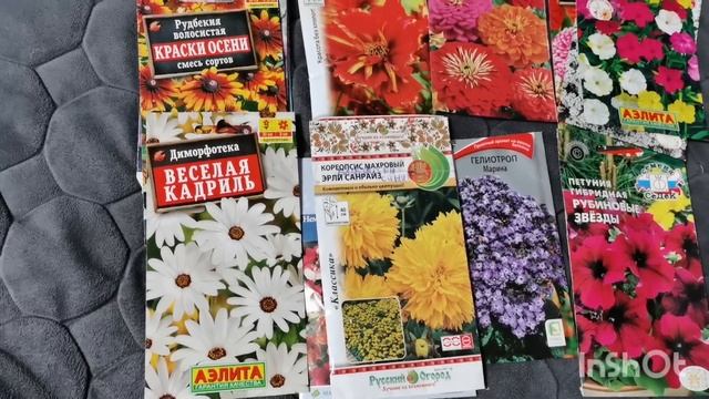 САМЫЕ КРАСИВЫЕ ЦВЕТЫ ДЛЯ САДА! ОБЗОР ЛУЧШИХ СЕМЯН НА 2025 ГОД. Ожидания и реальность.