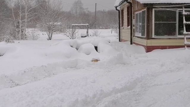 Февраль был с обильными снегопадами. 2025г.