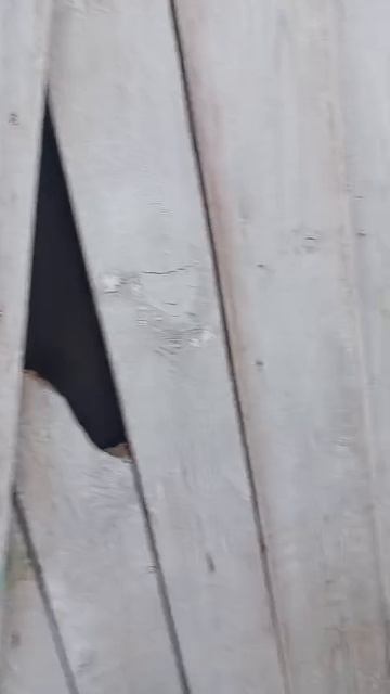 Сходил в туалет