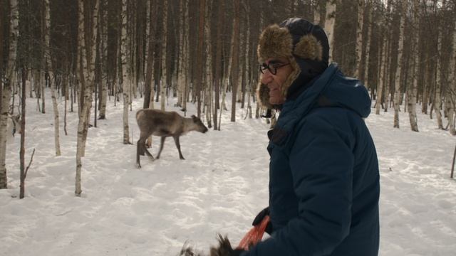 Юджин Леви: Путешественник поневоле 1 сезон 1 серия «Финляндия» (документальный сериал, 2023)