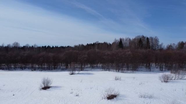 Весна пришла!!!