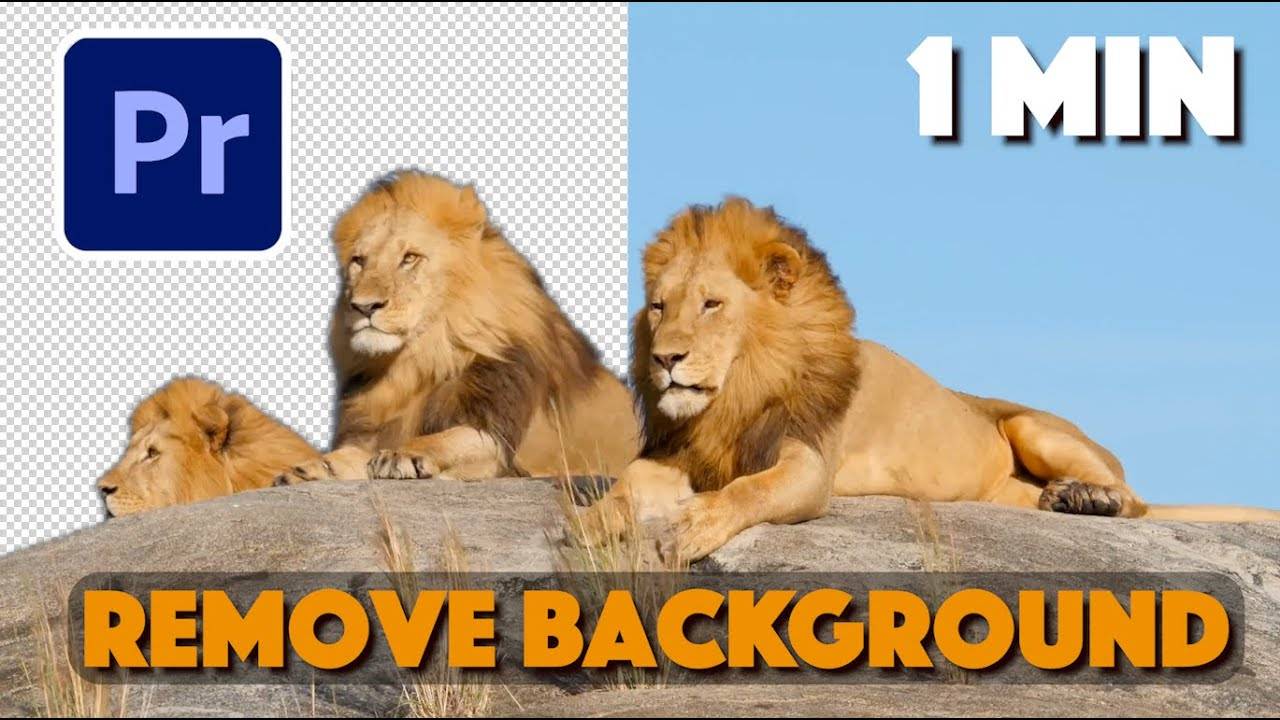 Premiere Pro Как убрать фон из видео