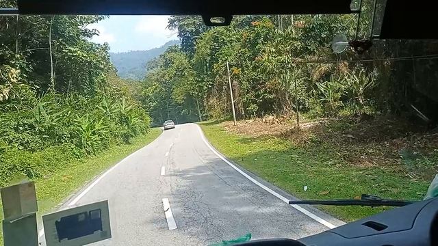 13 Малайзия, Cameron Highlands дорога в Tanah Rata, Малайзия