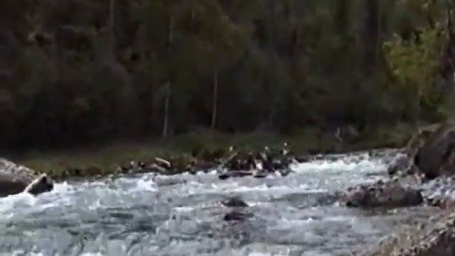 2003-08 Хакасия с пленки