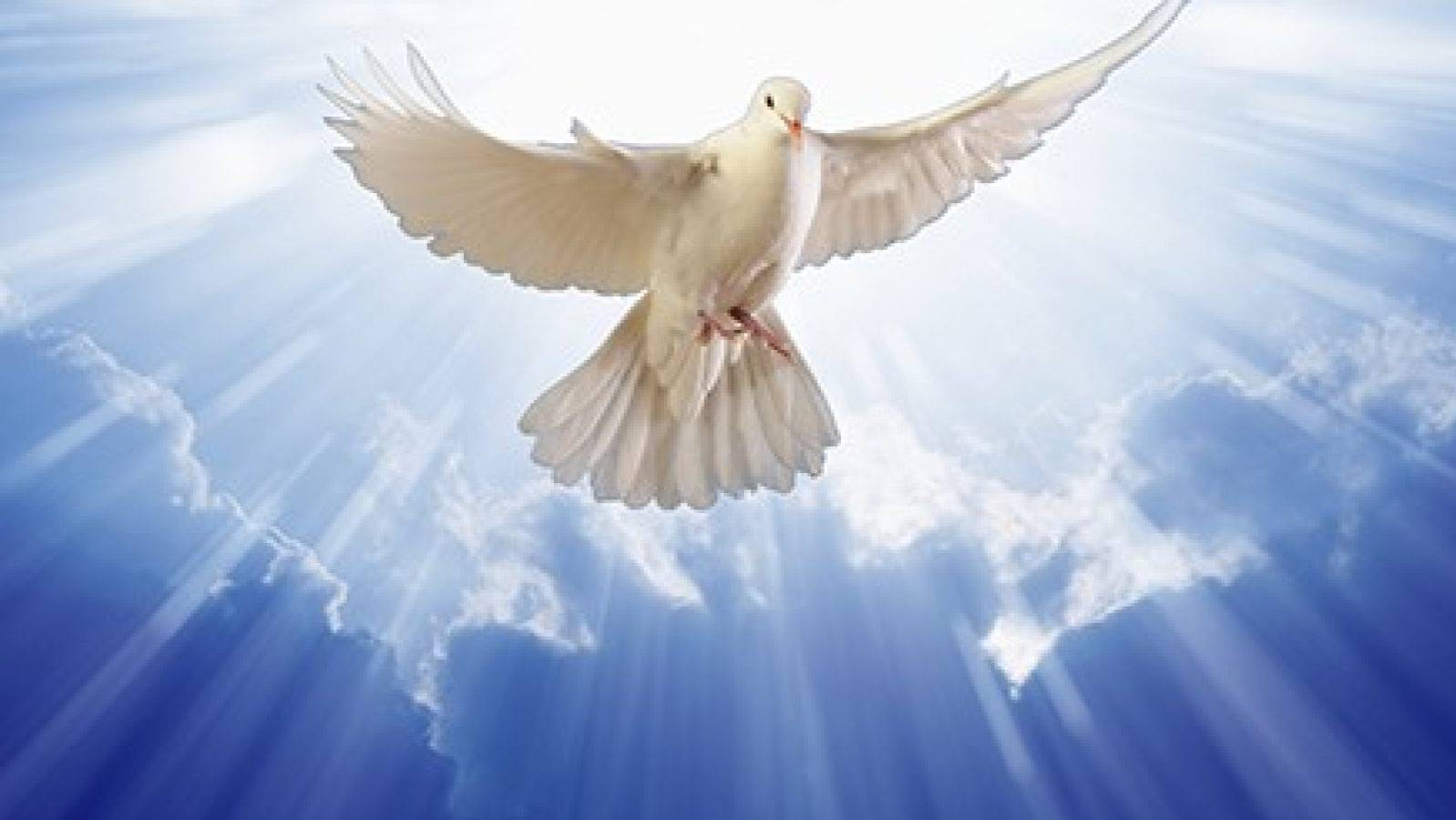 Зов души в ЖИЗНЬ ВЕЧНУЮ