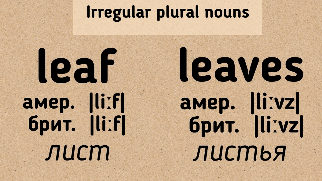 Irregular plural nouns👉leaf/leaves