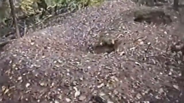 1999-10 Слет Золотая Осень на Рожайке