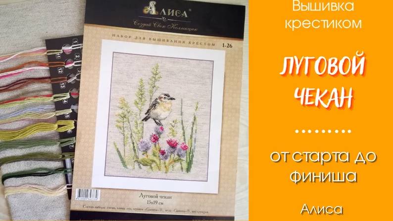 ЛУГОВОЙ ЧЕКАН от старта до финиша. Вышивка крестом