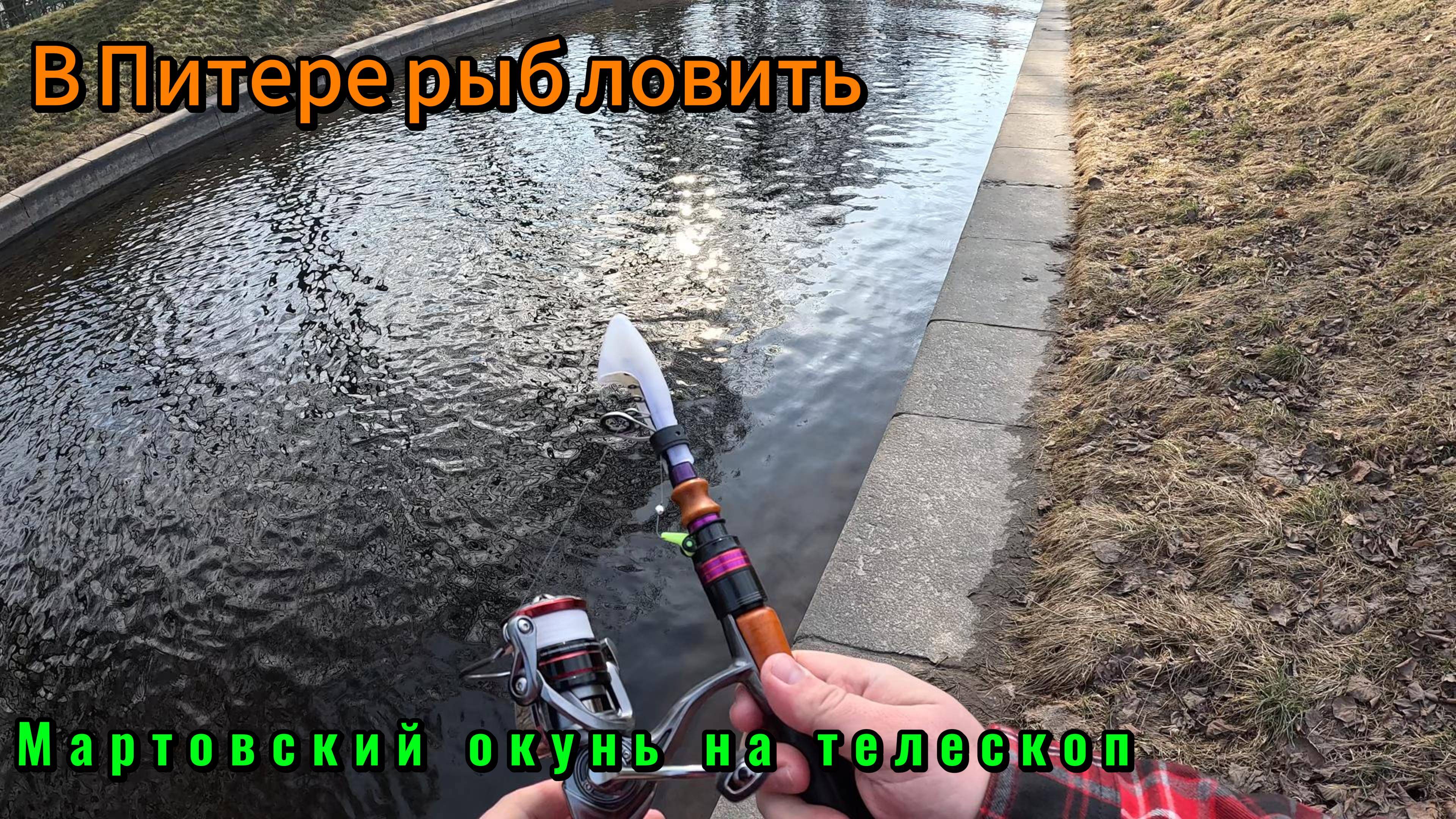 В Питере рыб ловить. Мартовский окунь на телескоп purelure