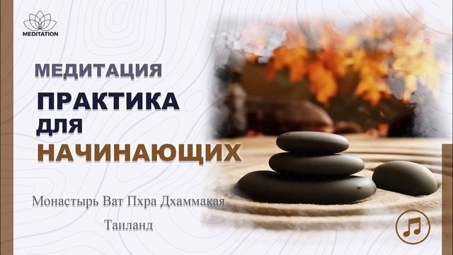 Мед-Туяна-001-Music-02