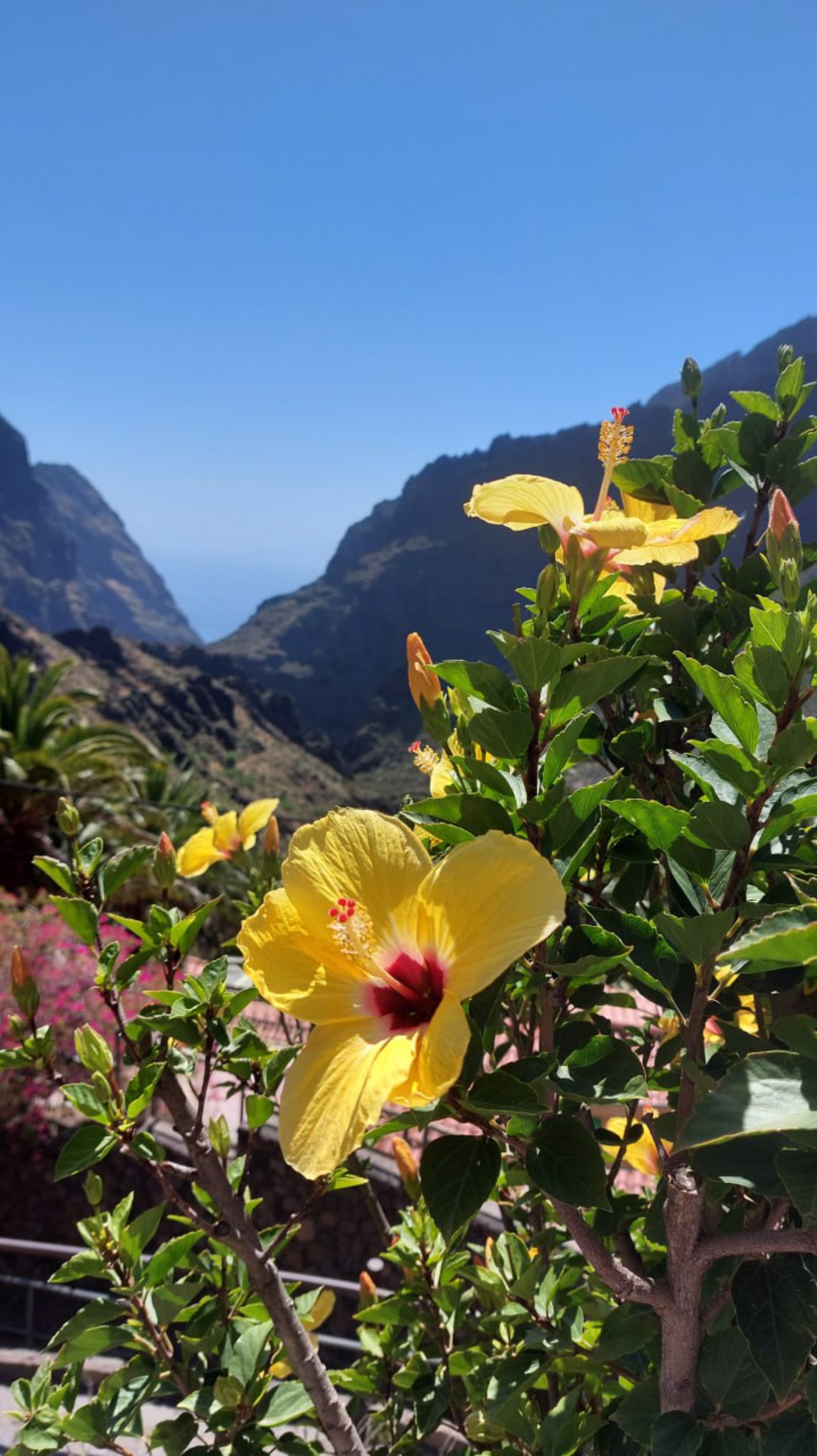 Тенерифе. Деревня Маска