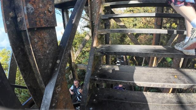 14 Cameron Highlands, Tanah Rata, Mossy Forest подъем на обзорную площадку, Малайзия.