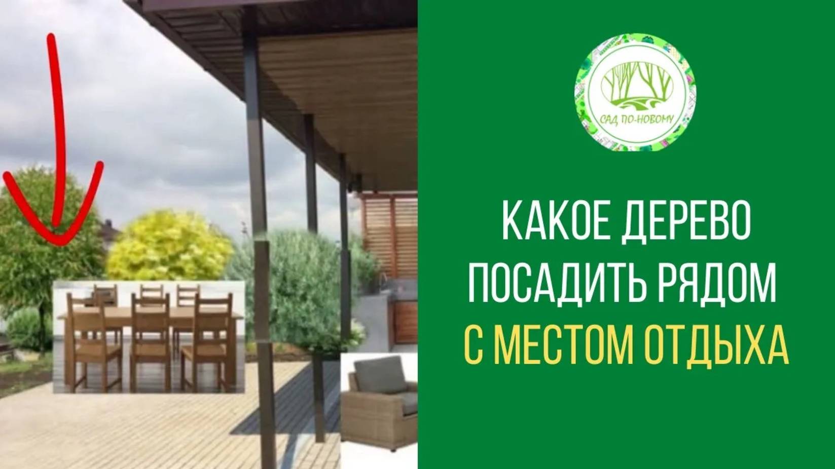 Какое дерево посадить рядом с местом отдыха