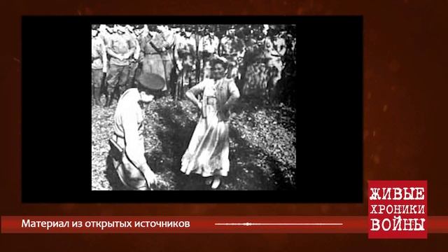 Живые хроники войны. Старикова Галина Васильевна