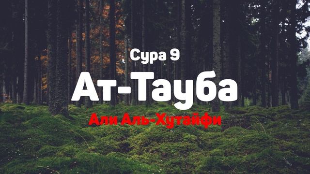 Сура 9 Ат-Тауба - Али Аль-Хутайфи
