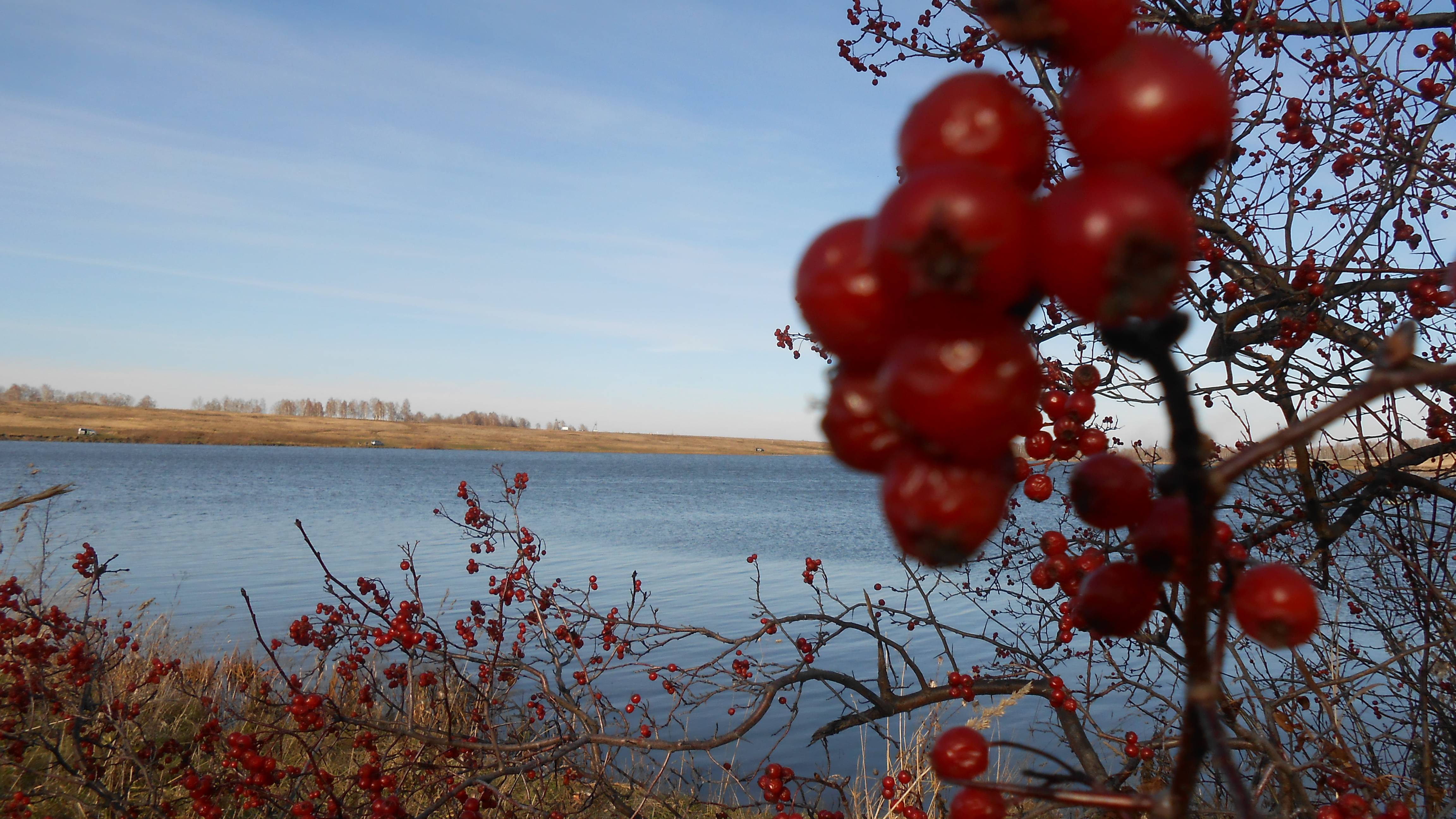 VID_20231228_061745




















Красота.