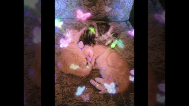 Тесты онлайн: польза, польза и еще раз - ПОЛЬЗА!!!