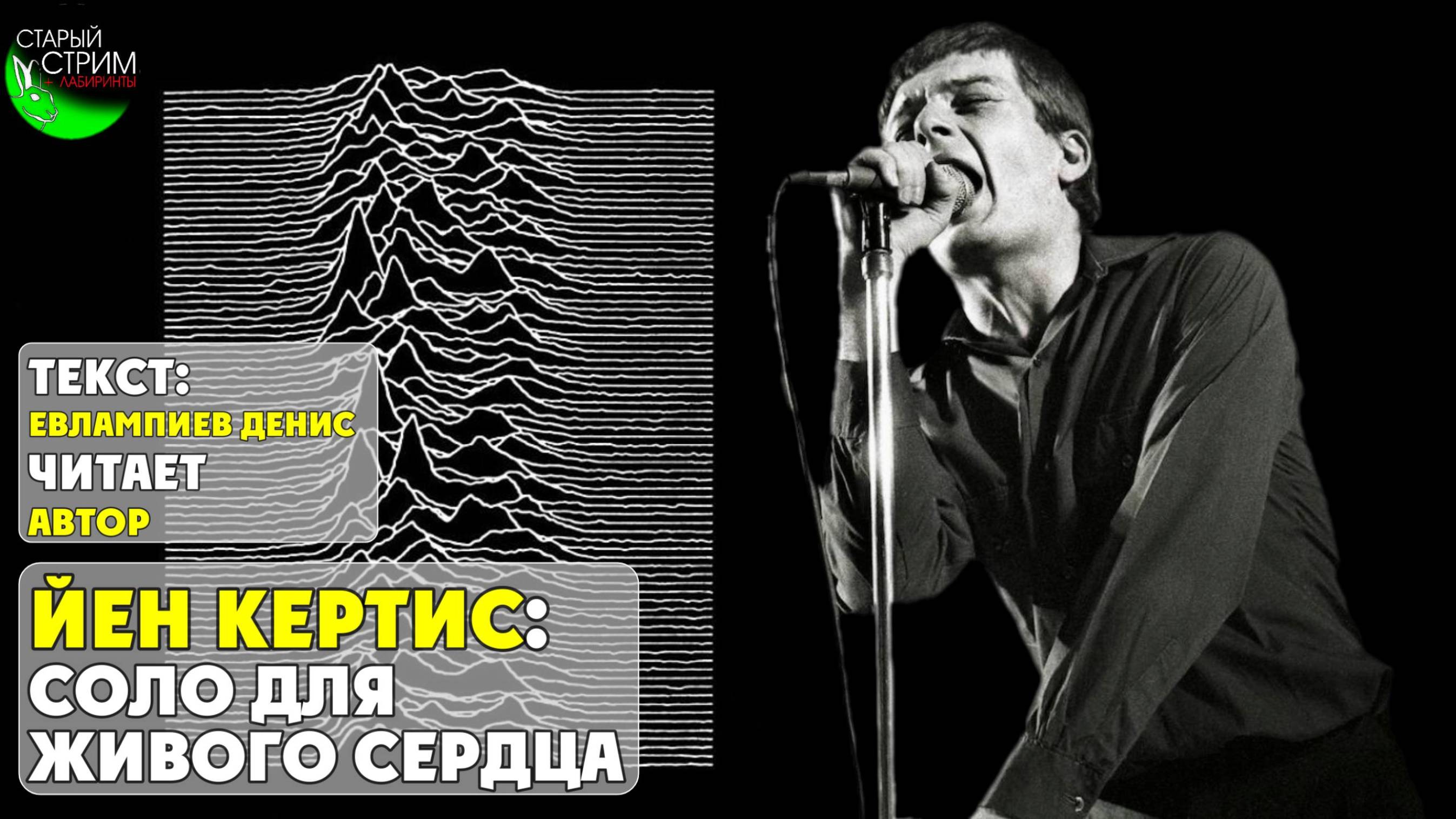 Йен Кертис: соло для живого сердца I текст Евлампиева Дениса читает автор