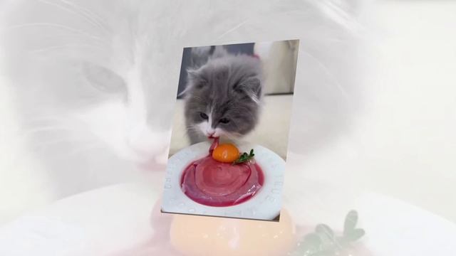 Питомцы  истории из жизни, советы, новости и юмор