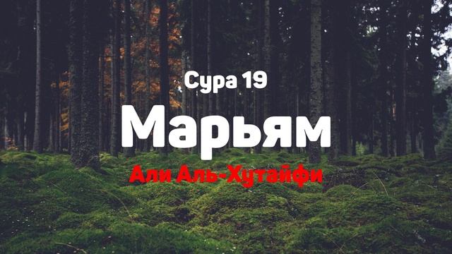 Сура 19 Марьям - Али Аль-Хутайфи