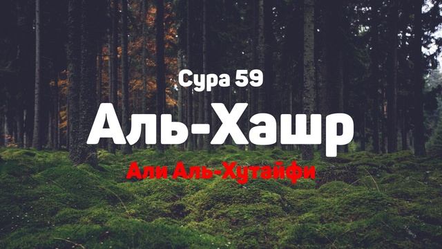 Сура 59 Аль-Хашр - Али Аль-Хутайфи