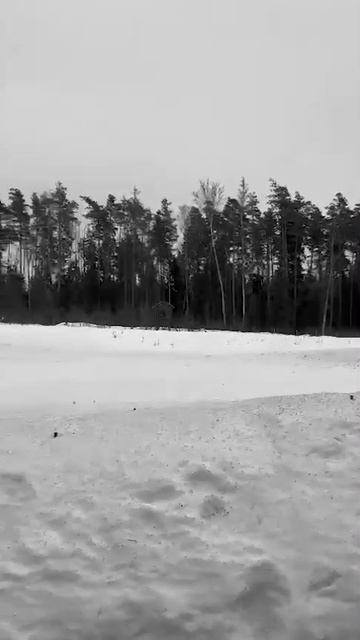 Стрельба по тарелочкам в Подмосковье: Экстремальные развлечения Агентства Экстрима АХАА