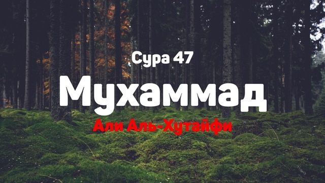 Сура 47 Мухаммад - Али Аль-Хутайфи