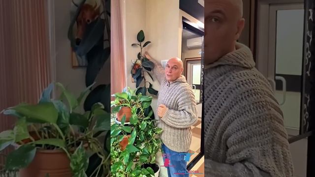 Встроенный или корпусный: какой шкаф-купе выбрать?
Шкаф-купе. Выбор.