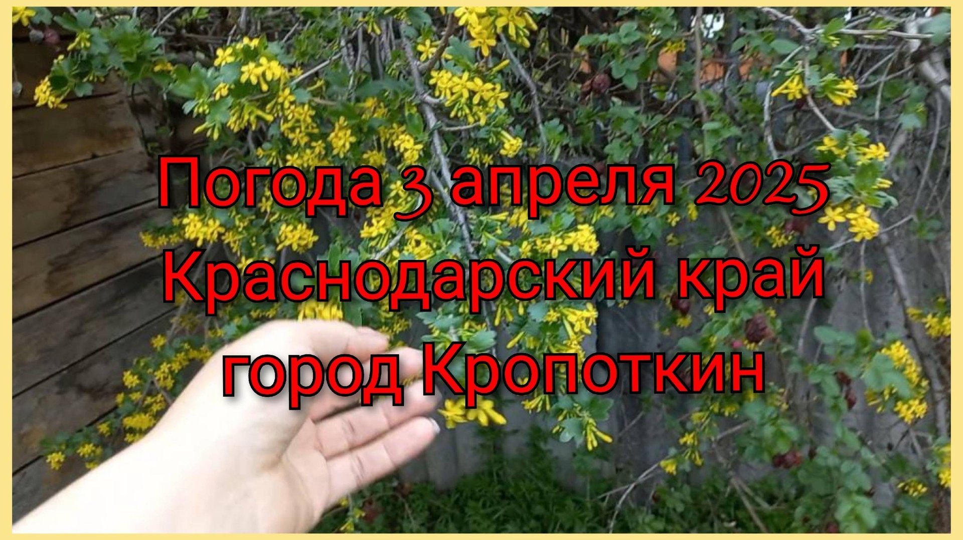 Погода 3 апреля 2025 Краснодарский край город Кропоткин